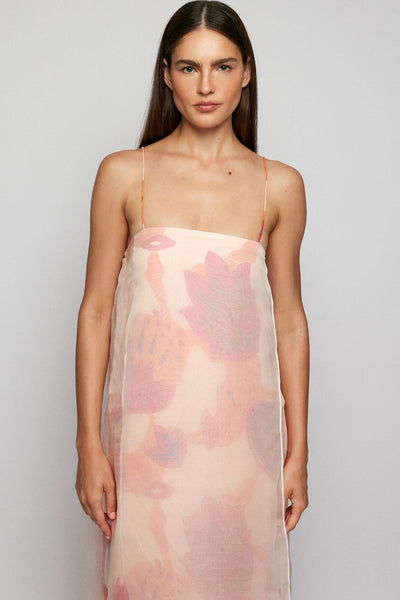 Sheer Slip Maxi – S/W/F Boutique - International